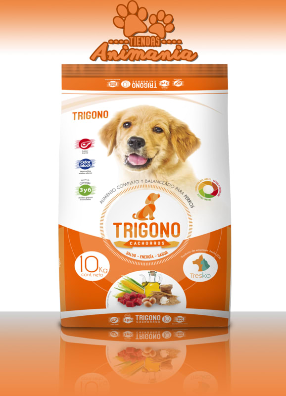 Economico P. | Animania