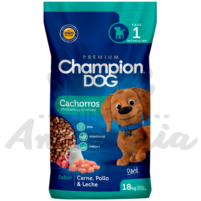 Economico P. | Animania