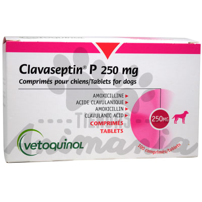 CLAVASEPTIN 10 COMPRIMIDOS 250 MG | Animania