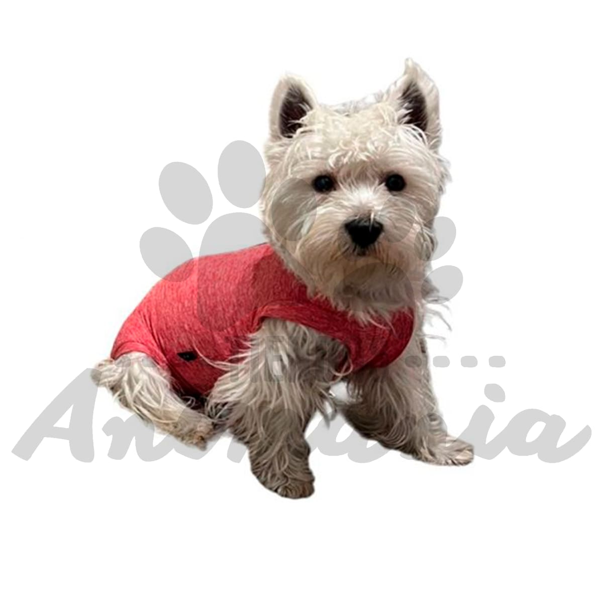 CUNATEX BODY DE COBRE PARA PERRO TALLA 7 | Animania