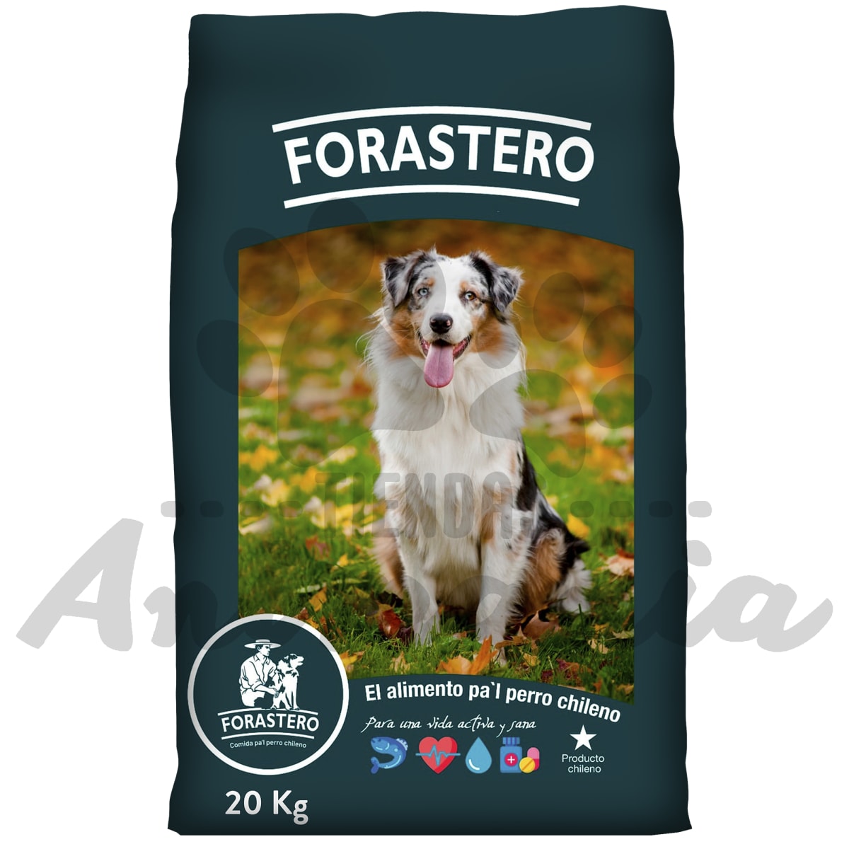 FORASTERO PARA PERROS ADULTOS 20 KG | Animania