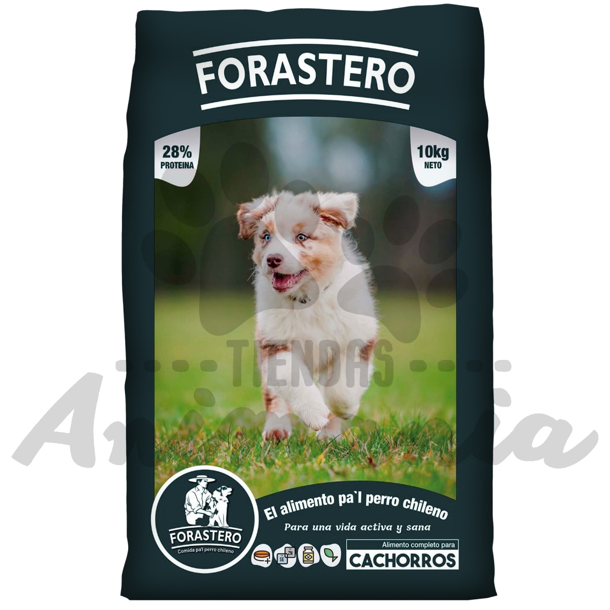 FORASTERO PERRO CACHORRO 10 KG | Animania