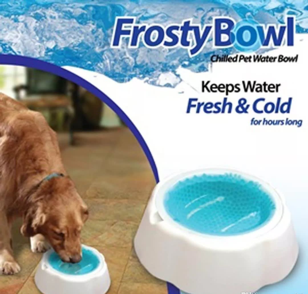 FROSTY BOWL BEBEDERO PARA MASCOTAS | Animania