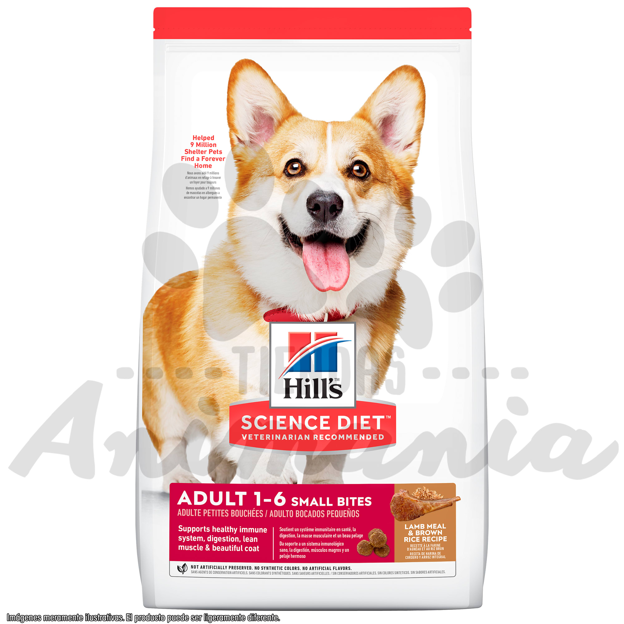 HILLS PERRO ADULT 1-6 SMALL BITES | ADULTO RAZA PEQUEÑA 2 KG | Animania