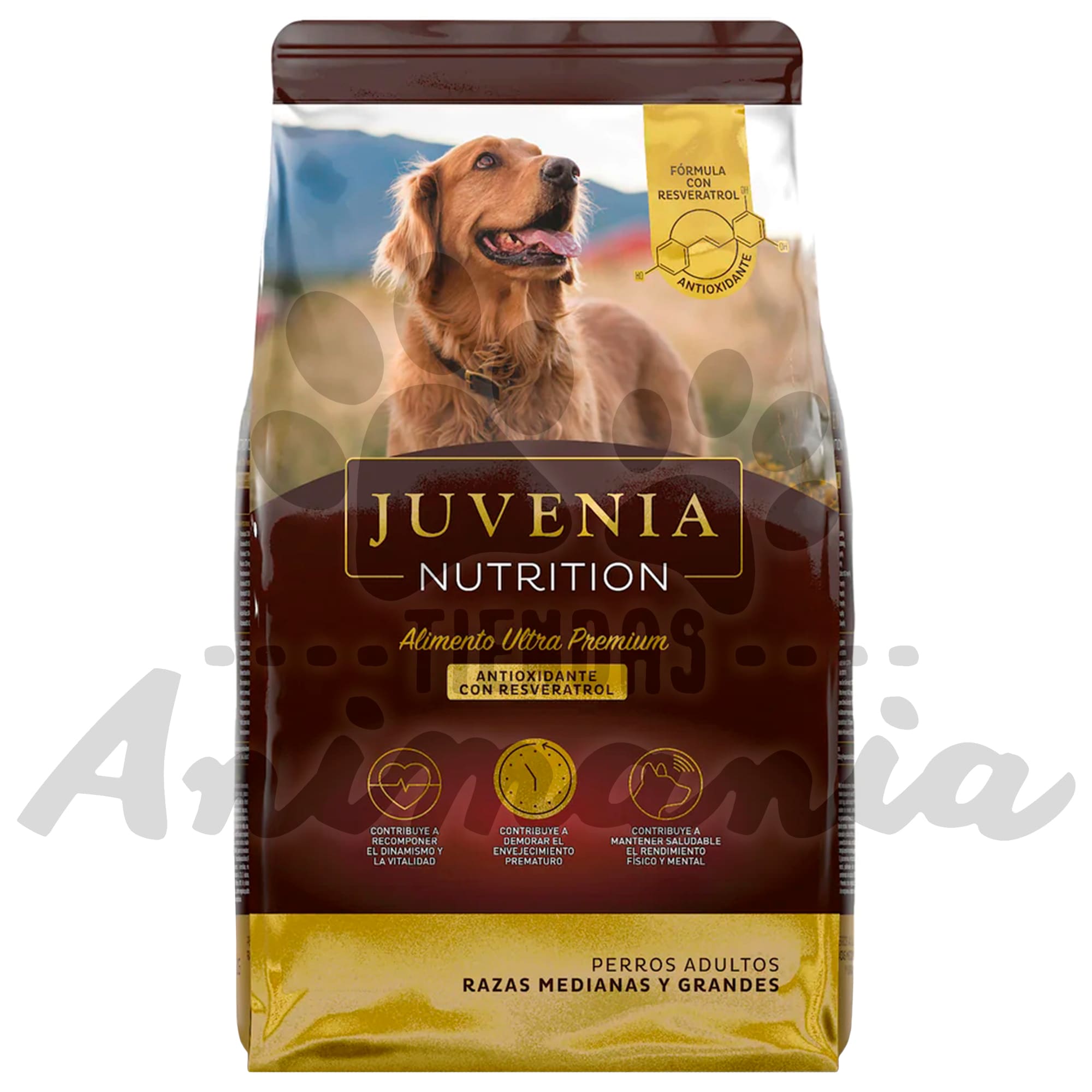 JUVENIA ALIMENTO PARA PERROS RAZAS MEDIANAS Y GRANDES 3 KG | Animania