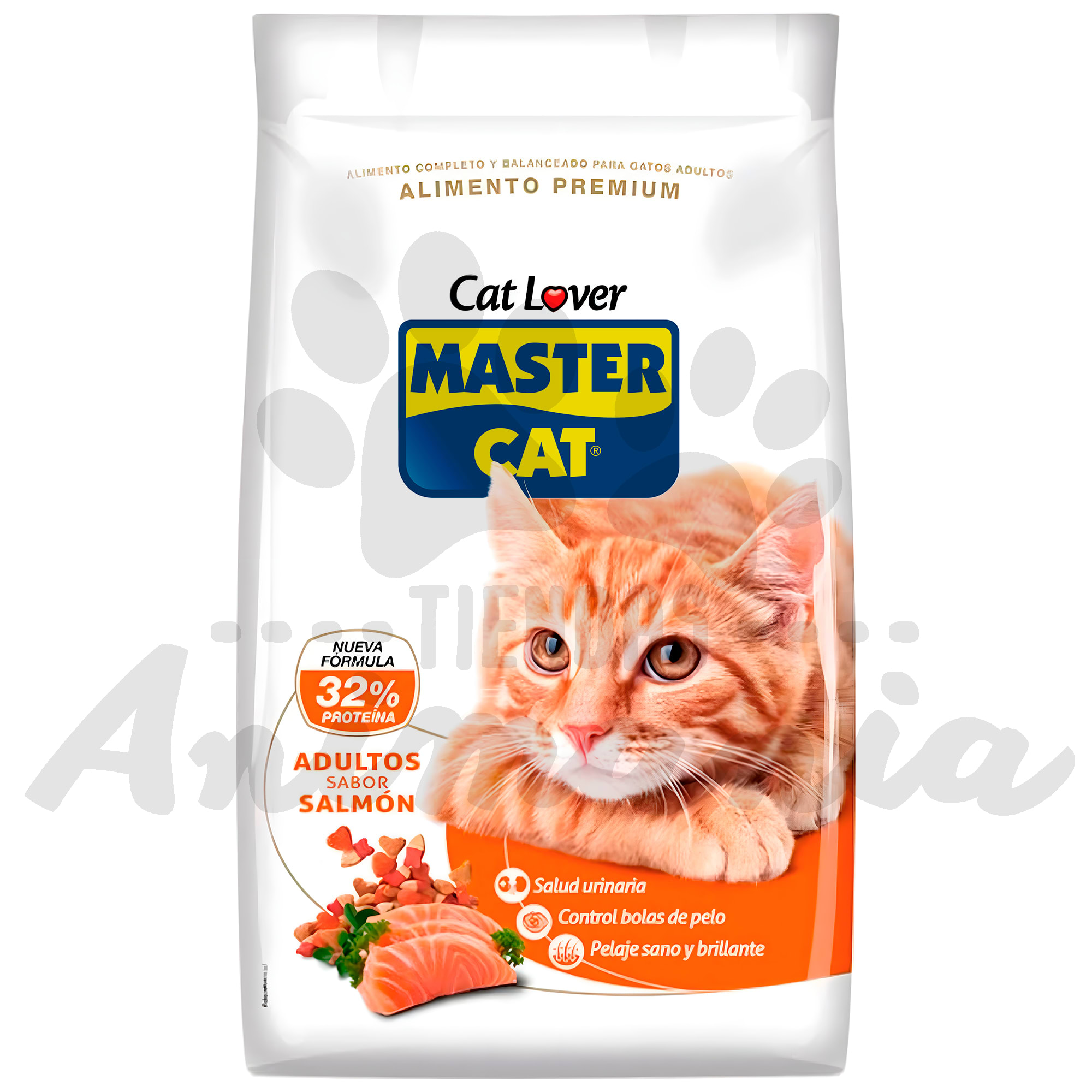 MASTER CAT SALMON 20 KG | Animania