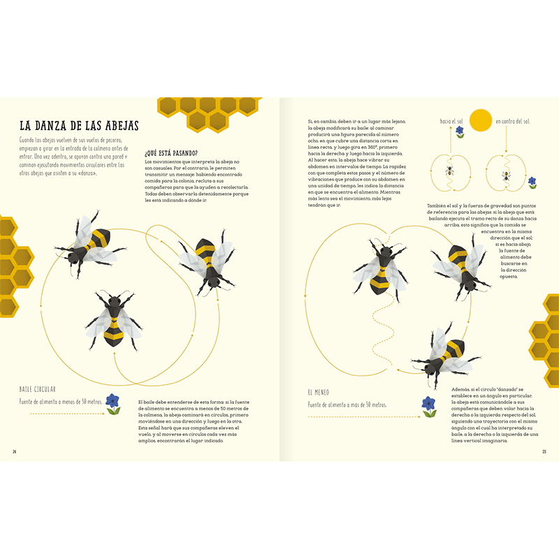 El mundo de las abejas | Lúdiko - juguetes didácticos
