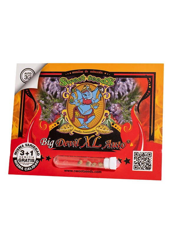 BIG DEVIL XL AUTO-SWEET SEEDS PACK 3+1 | advgrowstore