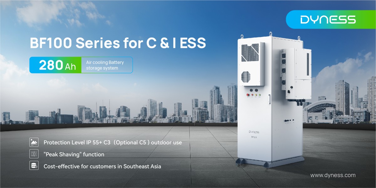 Sistema de Almacenamiento de Energía BESS 100kWh BF100F-100kWh Dyness | Natura Energy es ...