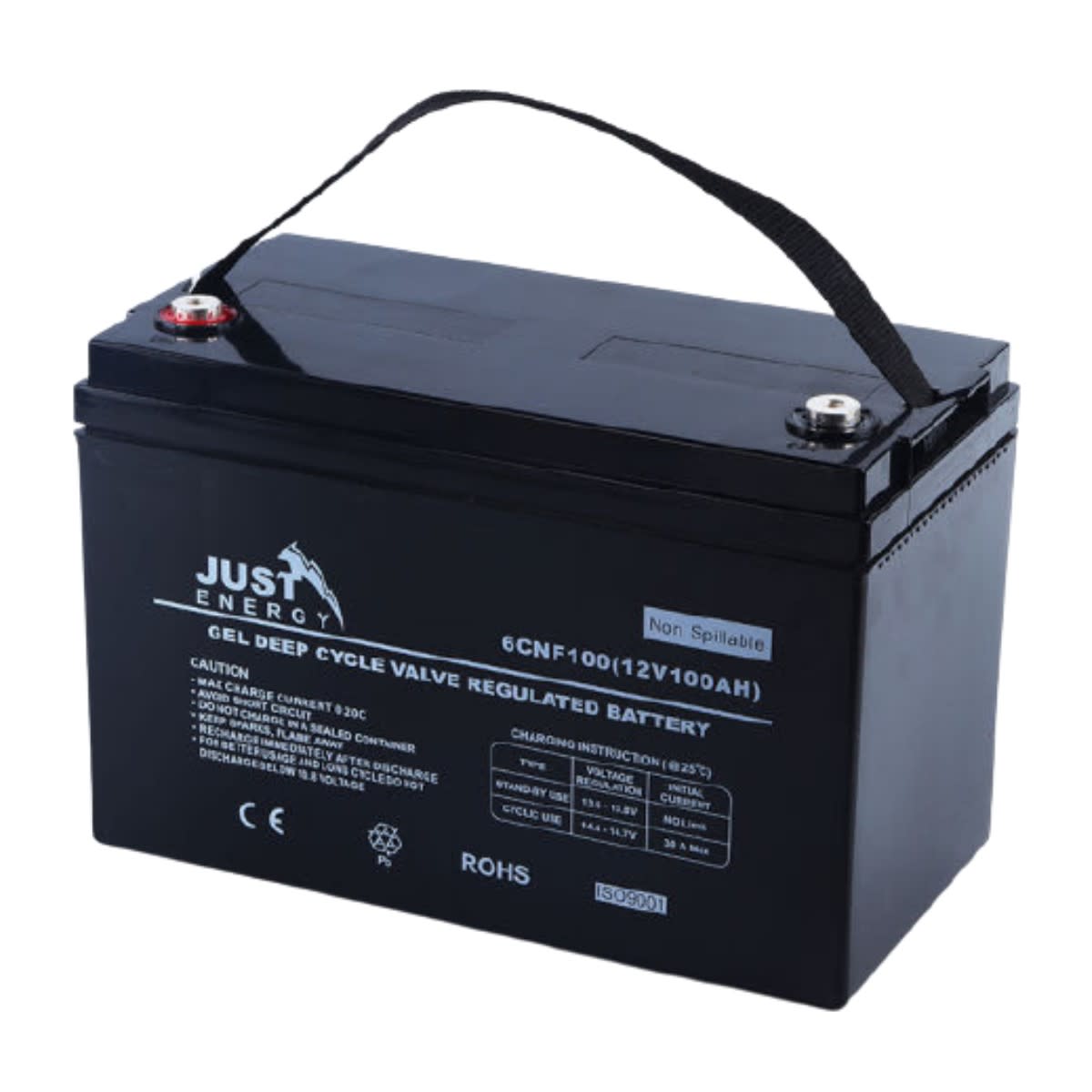 Batería Ciclo Profundo 100Ah 12V GEL Just | Natura Energy es especialista en paneles solares e ...