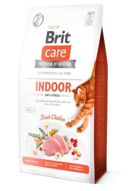 BRIT | Pet Kingdom