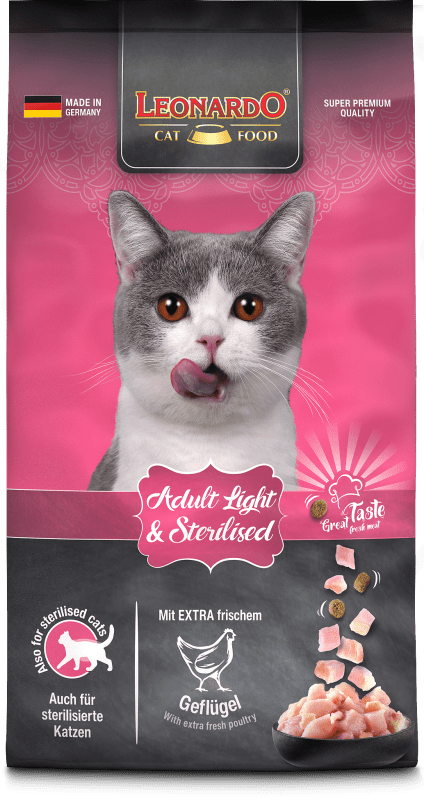 GATO LIGHT | Pet Kingdom