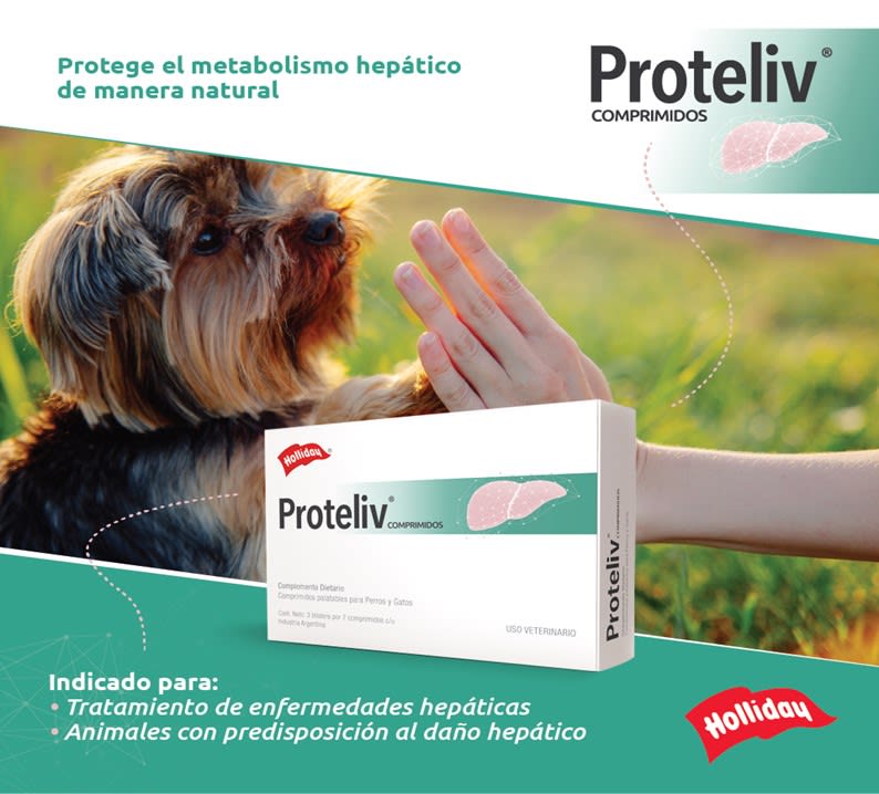 Proteliv 21 Comprimidos | NovaPet.cl Alimentos y accesorios para perros ...