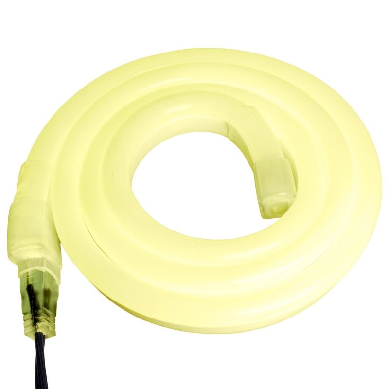 Neón Led 220V | Presente.cl