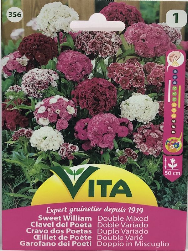 Clavel del Poeta Doble Variado | Semillas La Chacra