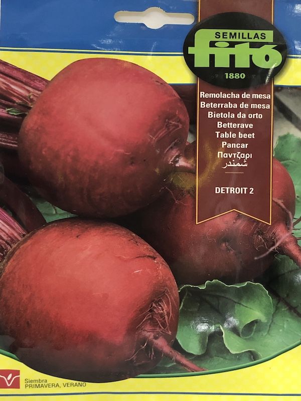 Betarraga | Semillas La Chacra