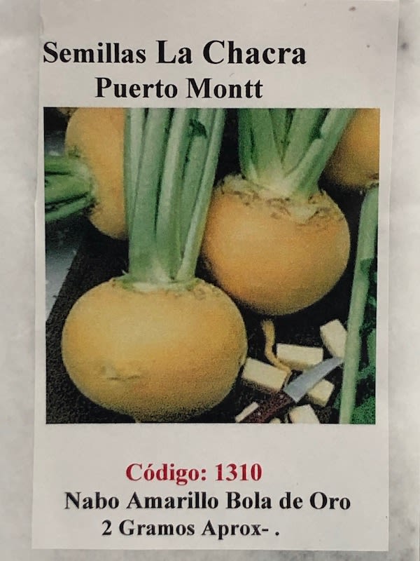 Nabo Amarillo Bola de Oro | Semillas La Chacra