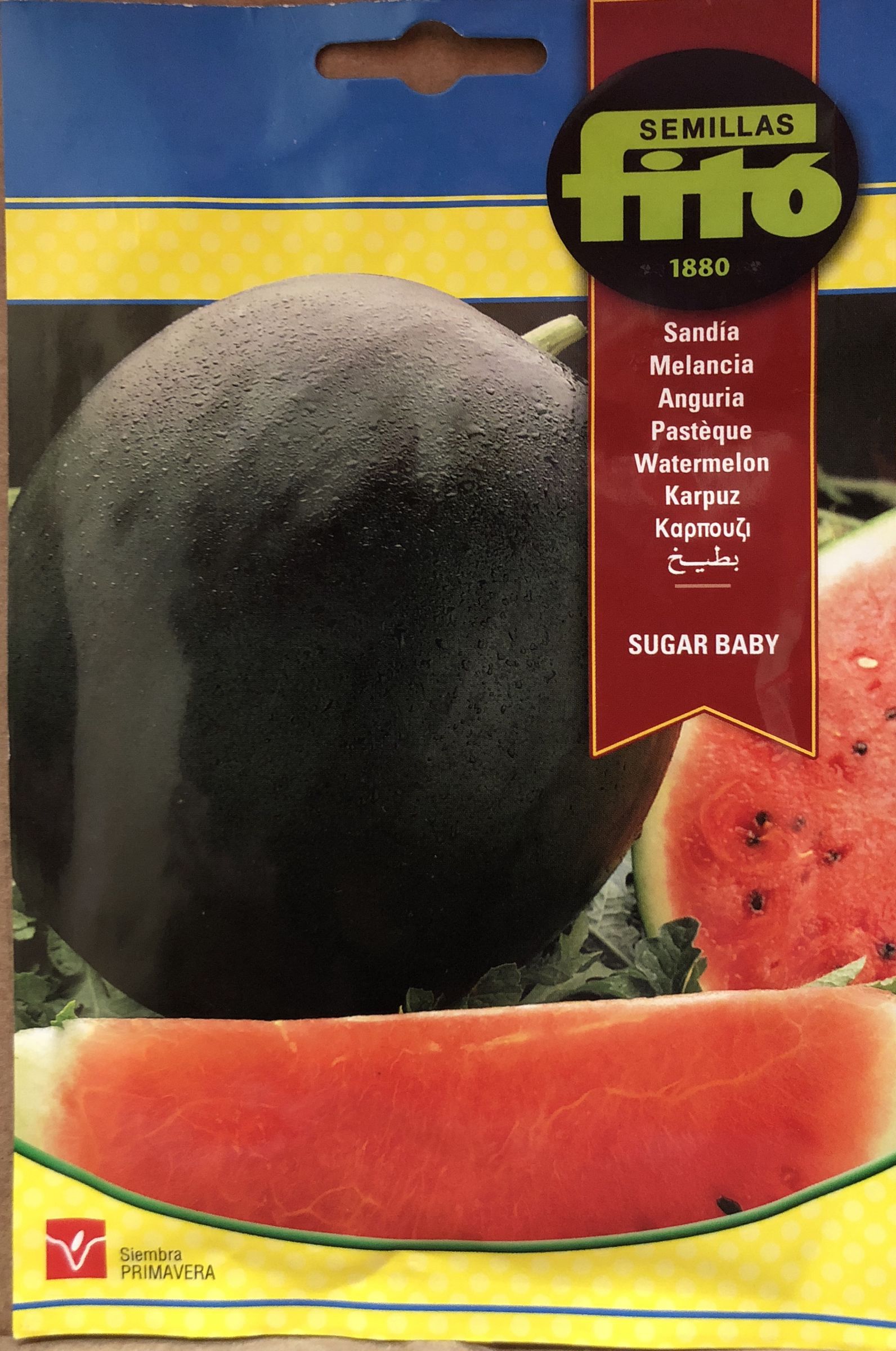 SANDIA FITO SUGAR BABY 10 GRAMOS. | Semillas La Chacra