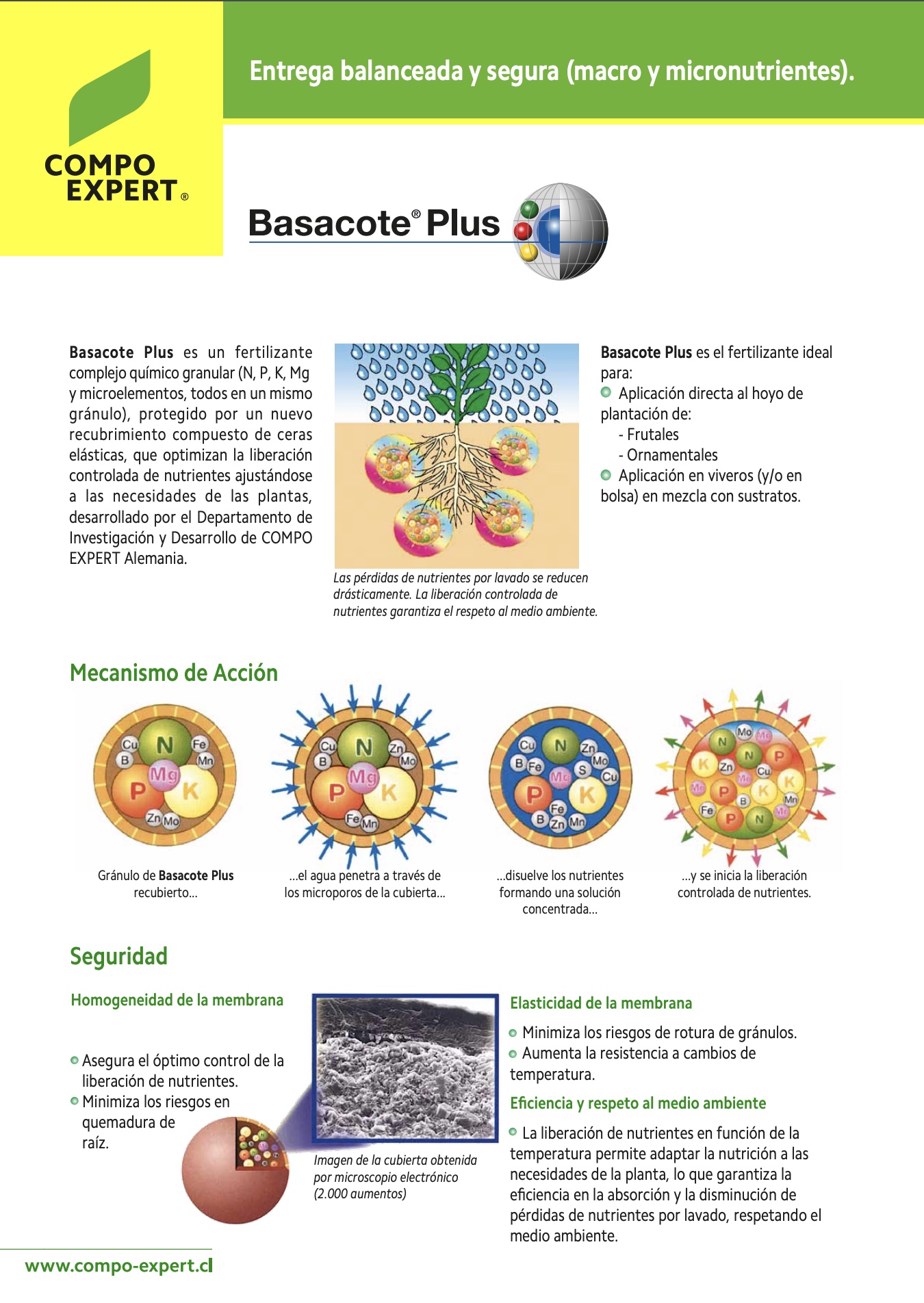 BASACOTE PLus 3M Sachet 100 Gramos. | Semillas La Chacra