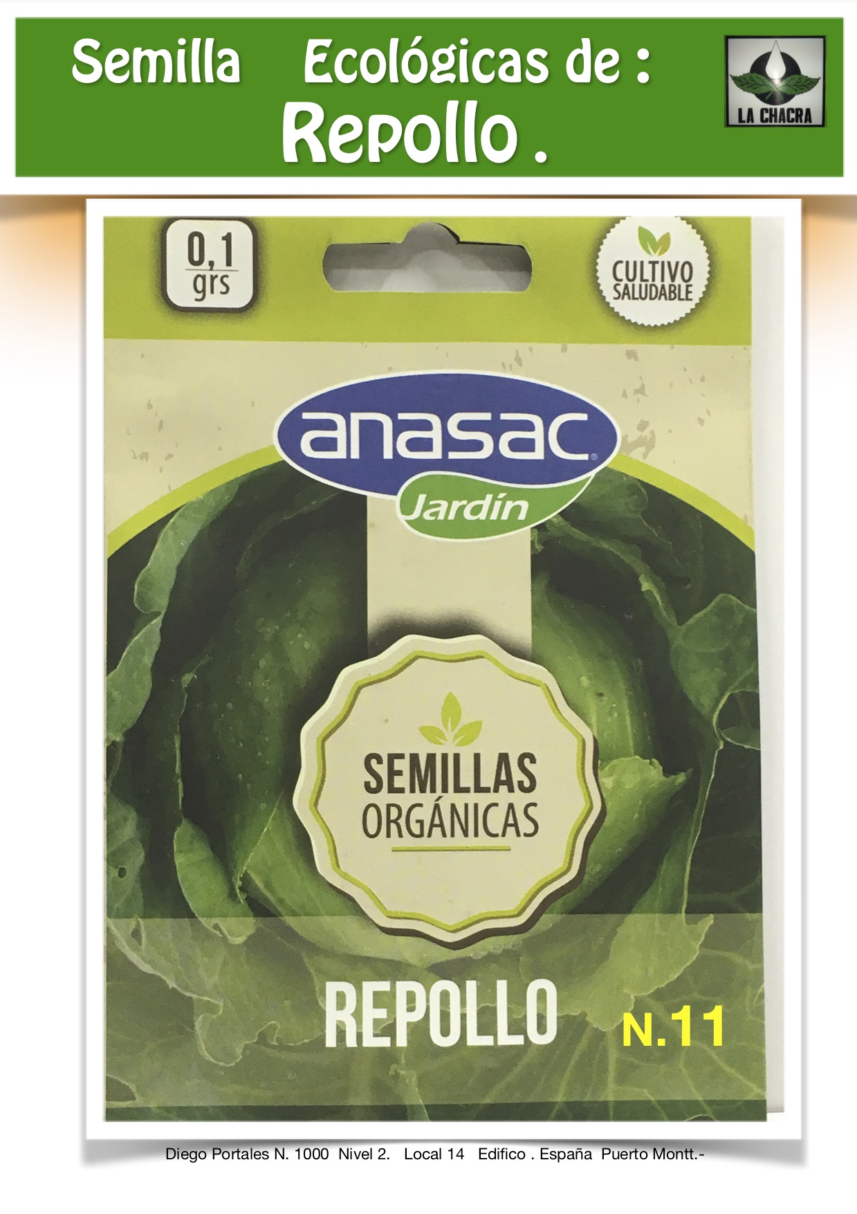 REPOLLO Blanco Orgánico | Semillas La Chacra