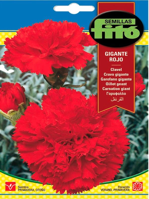 CLAVEL GIGANTE ROJO | Semillas La Chacra