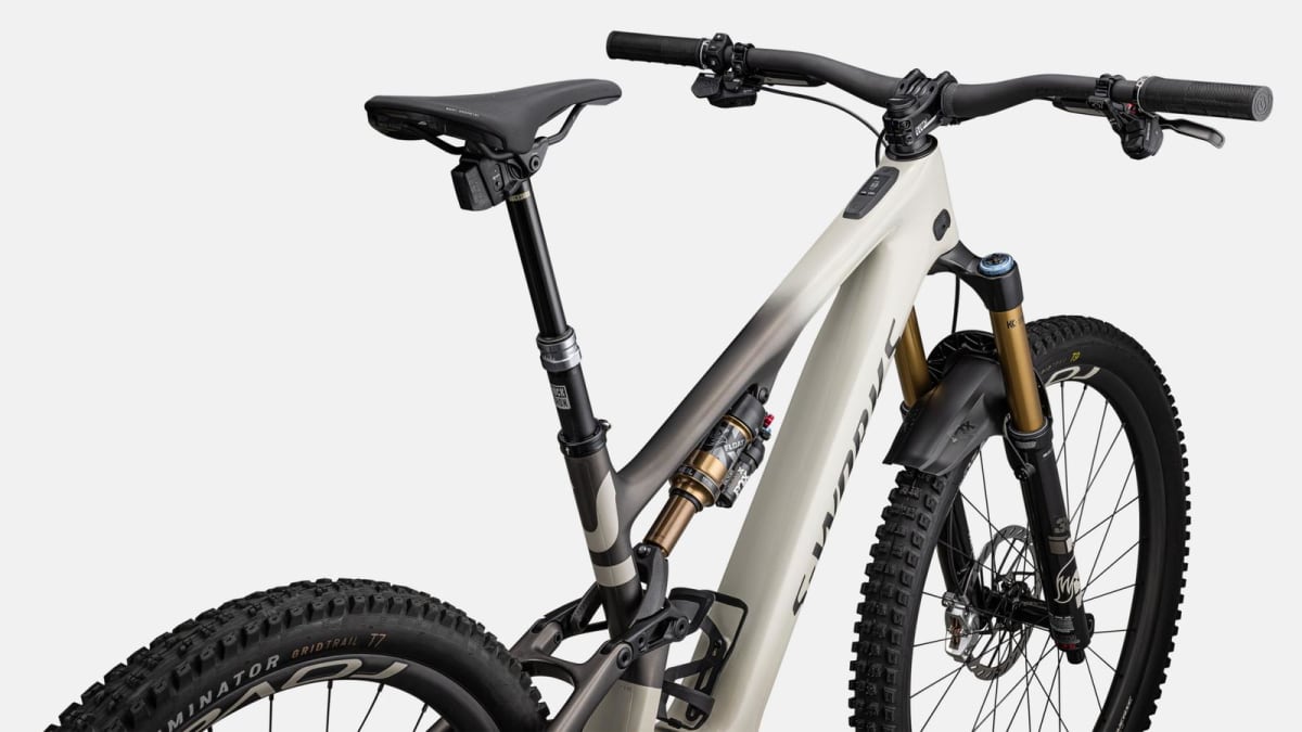 S-Works Turbo Levo SL Carbon | Blackline Bicicletas