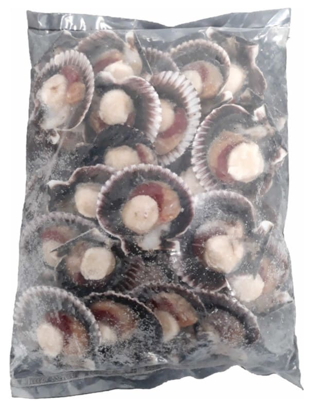 Ostión | INZUMO | Productos Congelados