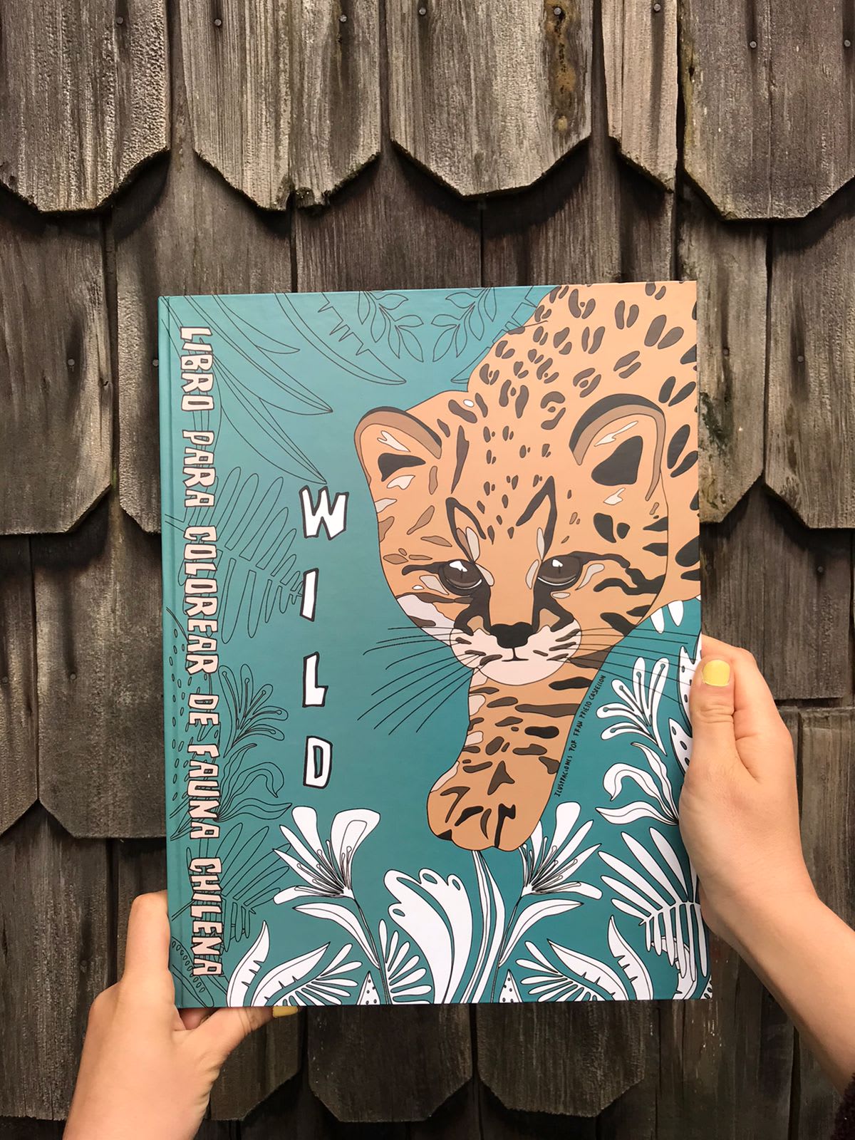 Wild libro para colorear de fauna chilena - DECATALOGO