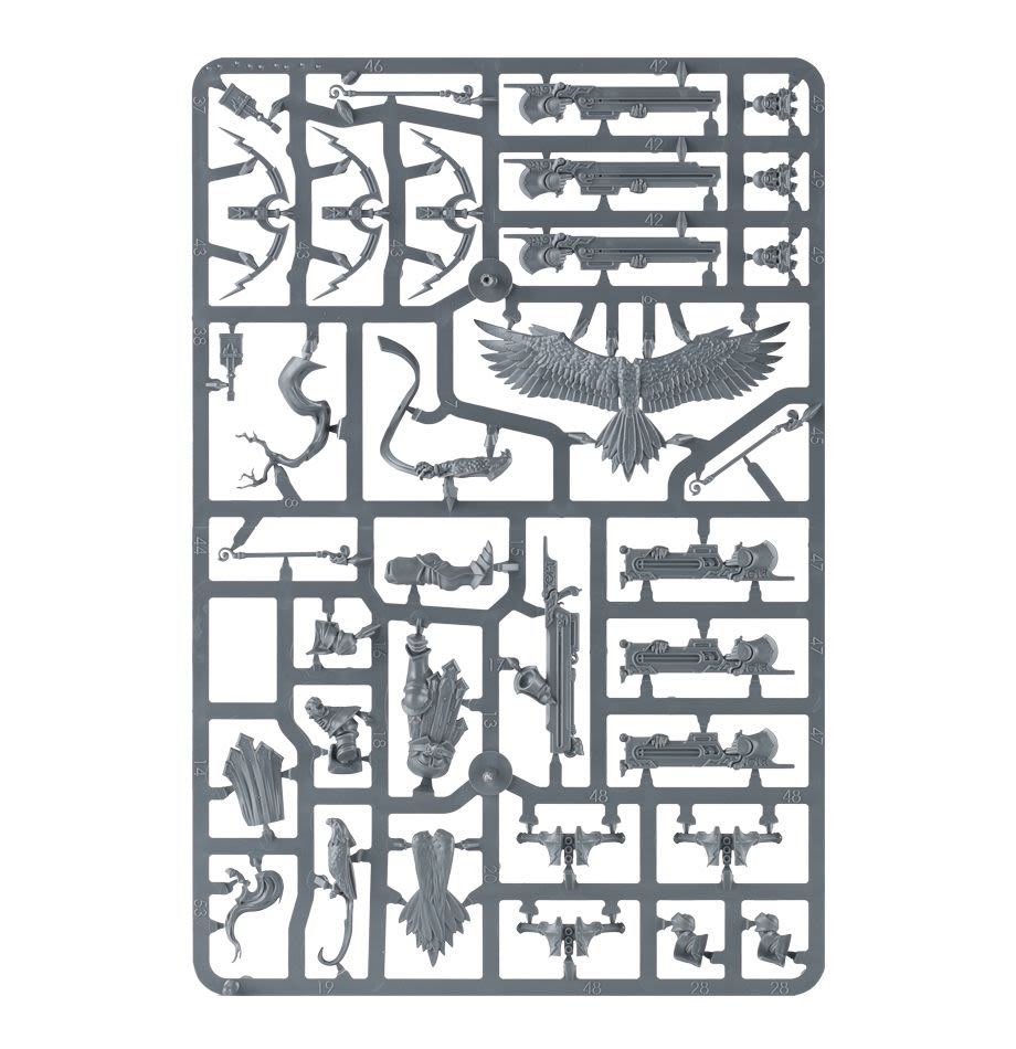 STORMCAST ETERNALS: VANGUARD-RAPTORS | Wargaming.cl