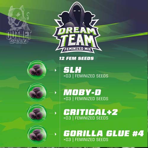 Semillas | Dream Team Mix | Fem | 12 semillas | BSF | Outlet Weed