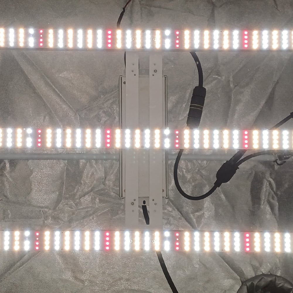 Quantum Bar Sun Bars | 300W | Helios Corporate | Outlet Weed