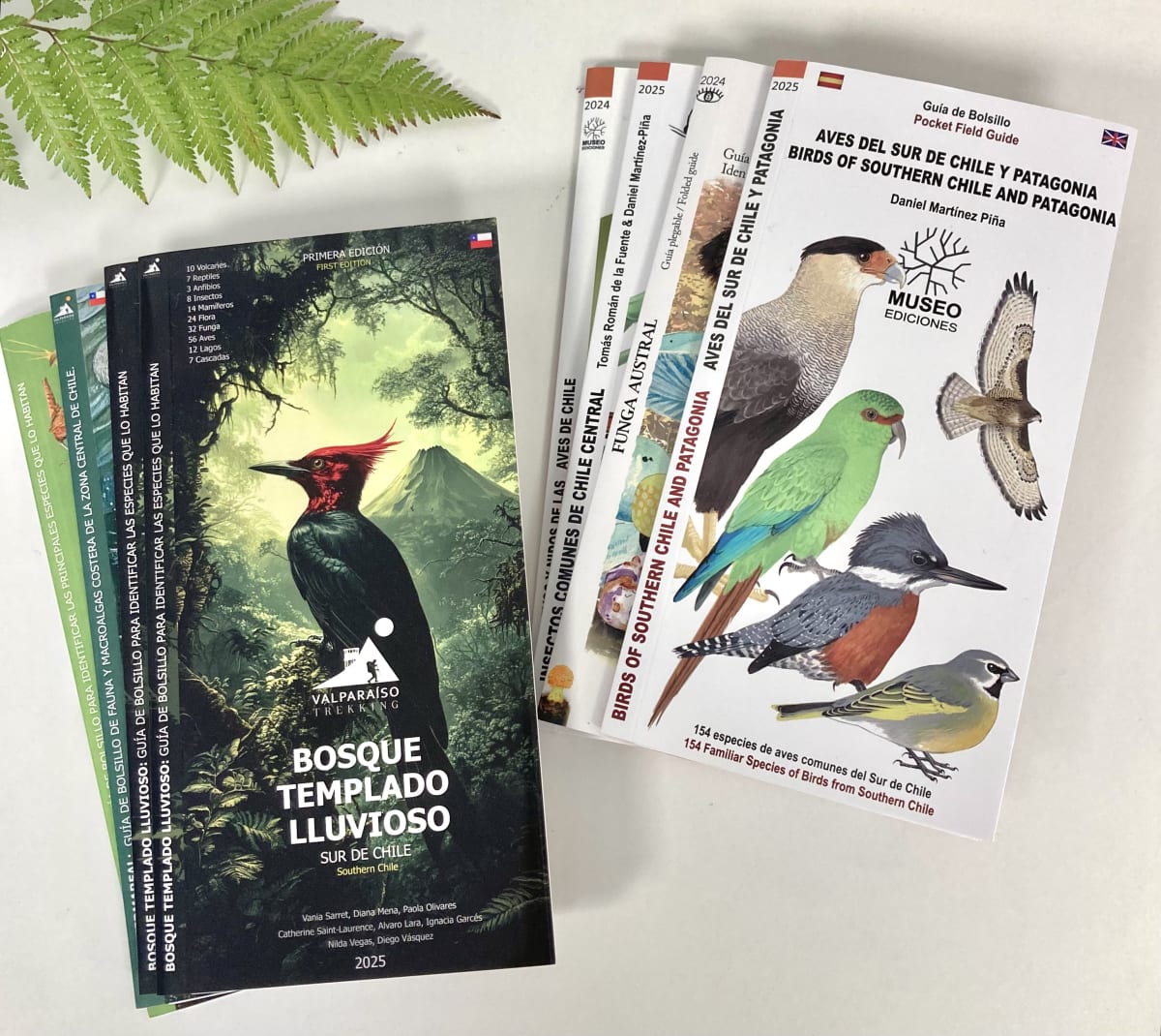 Guías de Naturaleza | Tienda La Minga Concept Store