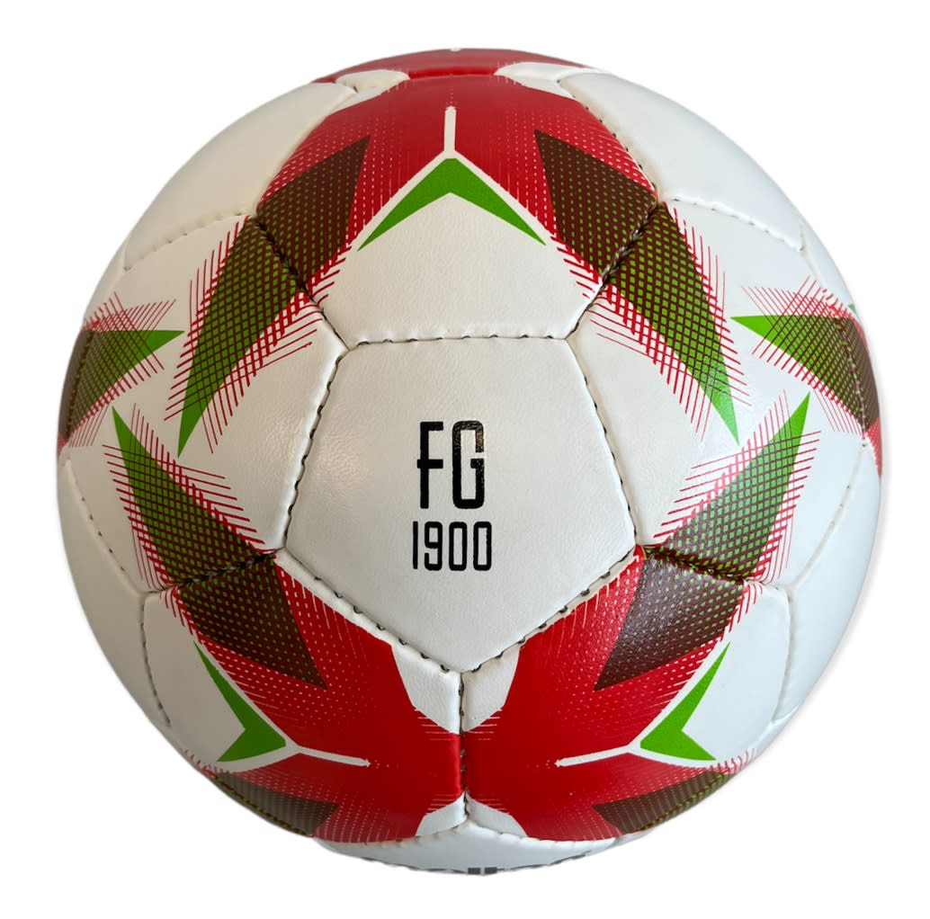 BALON DE FUTSAL MOLTEN 1900 FG N° 4 | Tecnoclass SpA