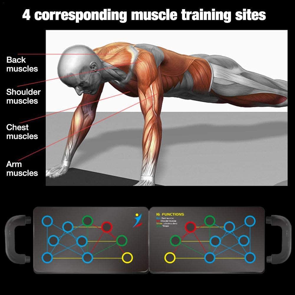 TABLA DE FLEXIONES MULTIUSO | Tecnoclass SpA