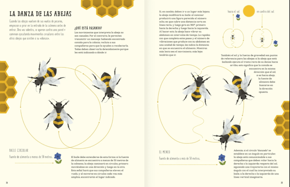 EL MUNDO DE LAS ABEJAS | LaMaga