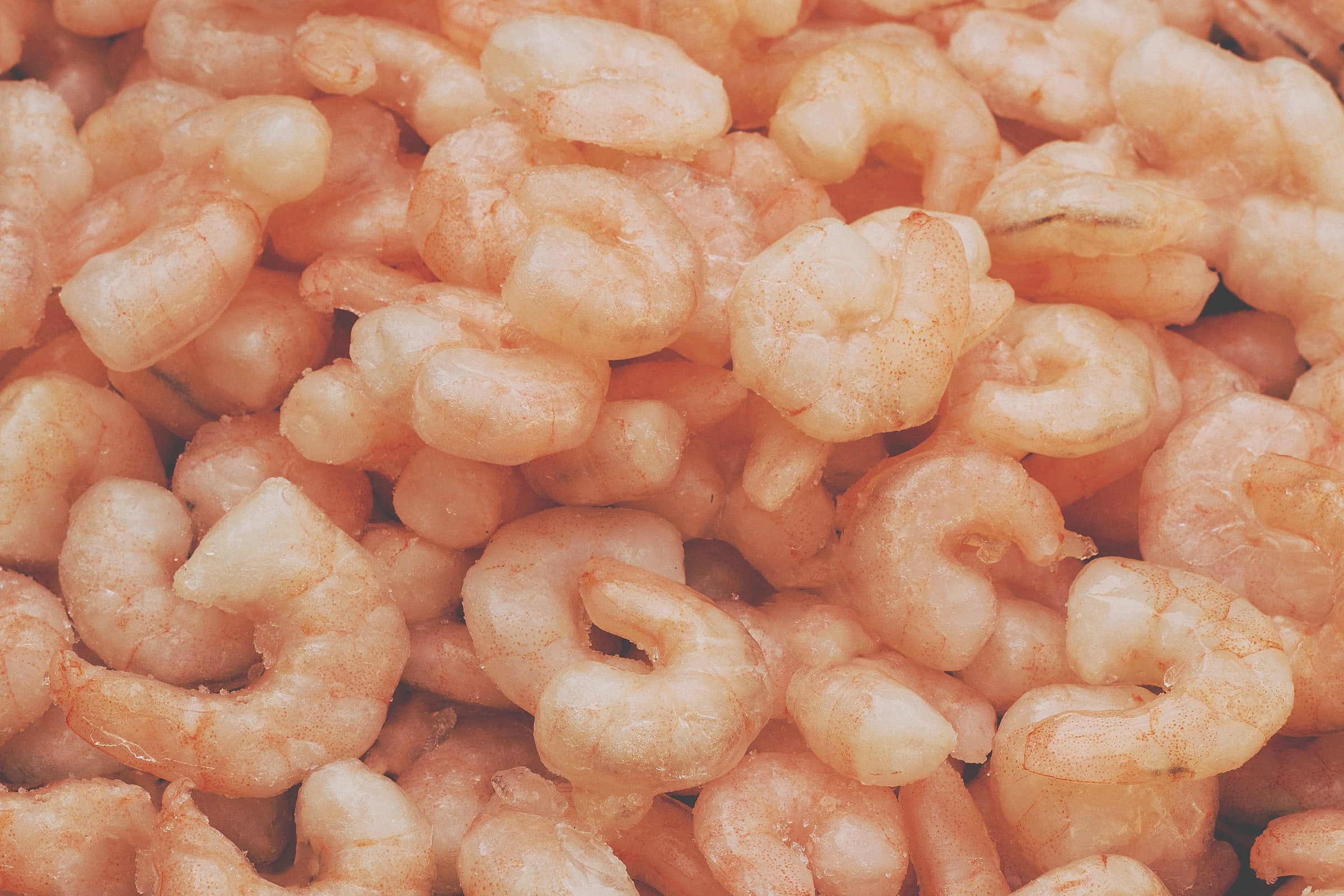 Camaron 100/150 cocido pelado | Store Fish