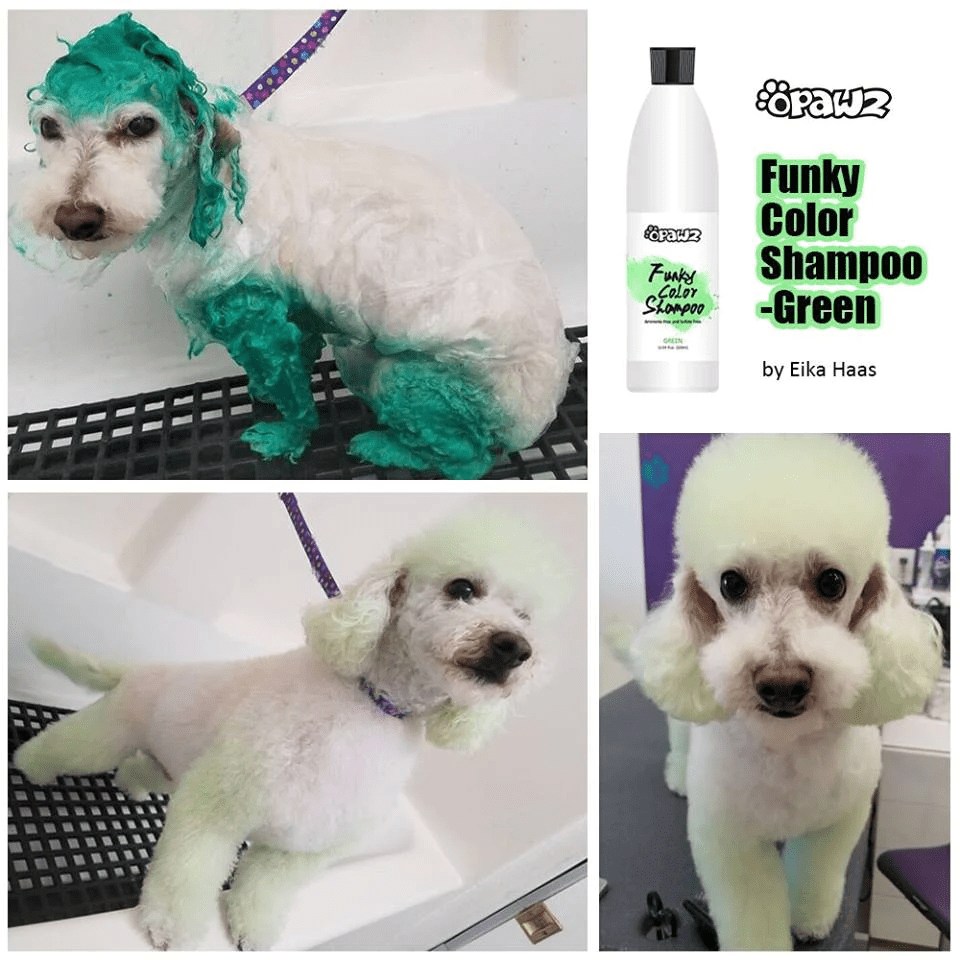 Funky Color Shampoo Opawz Verde 500 ml | FULLPET | Todo Peluquería Canina