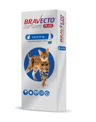 Bravecto Plus | Farmacia Veterinaria My Pets Oquiz