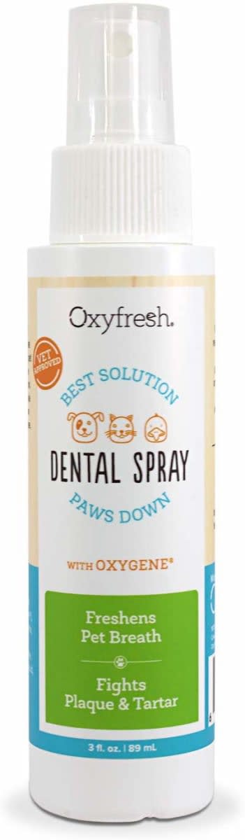 Oxifresh spray dental 89 ml | Farmacia Veterinaria My Pets Oquiz
