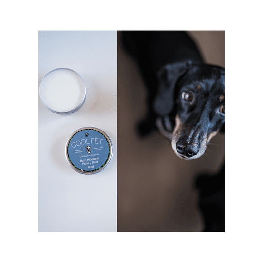 Coolpet Balsamo Para Patas y Nariz | Farmacia Veterinaria Arkanet