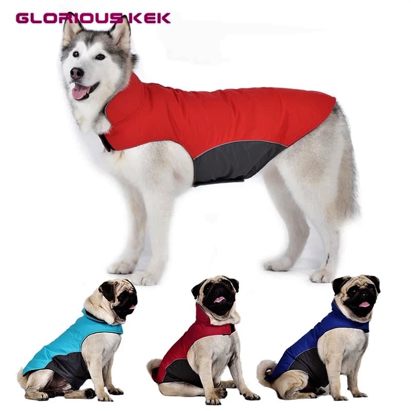 Capa para perro | Farmacia Veterinaria Arkanet