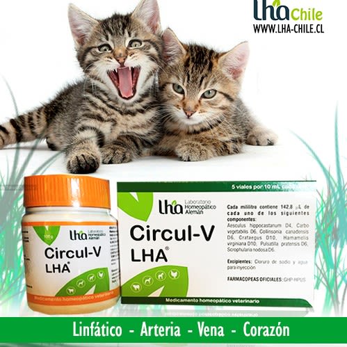 Circul-V | Farmacia Veterinaria Arkanet