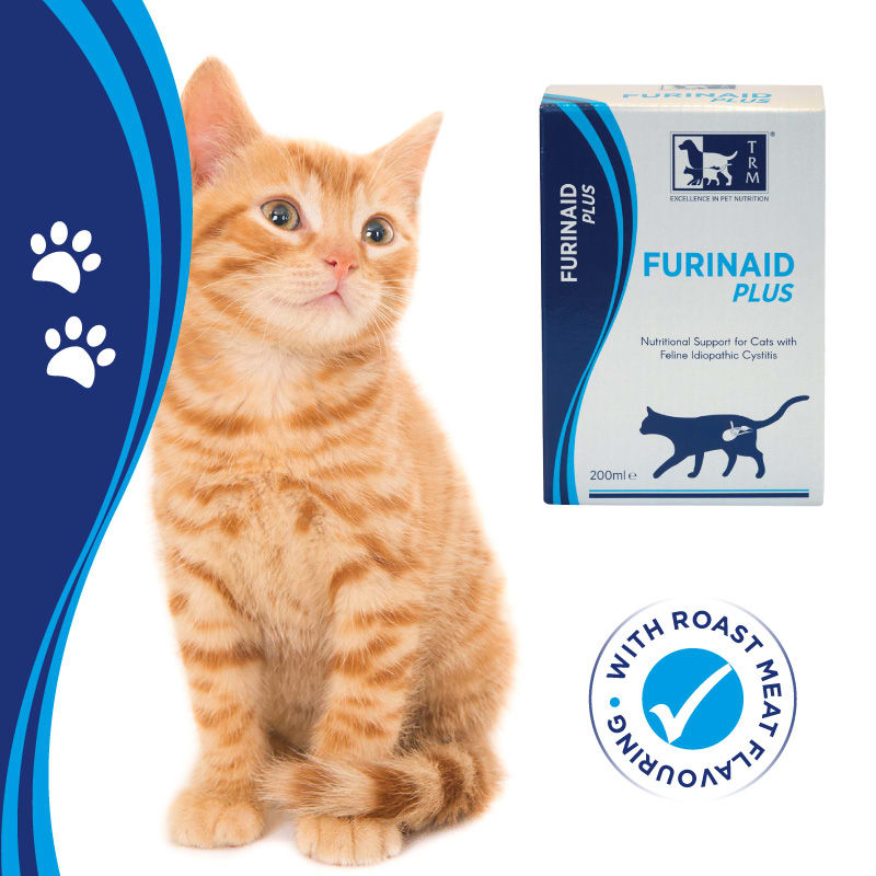Furinaid Plus 200 ml | Farmacia Veterinaria Arkanet