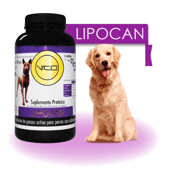 Lipocan Vito para Perros 100 gr | Farmacia Veterinaria Arkanet