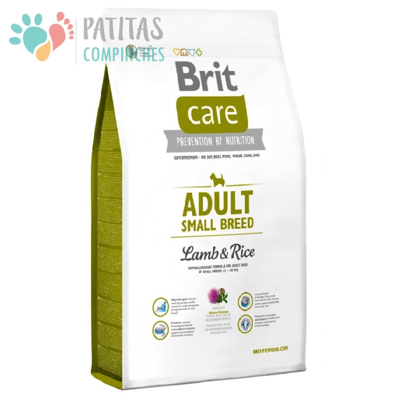 Brit | Perro | PatitasCompinches.cl