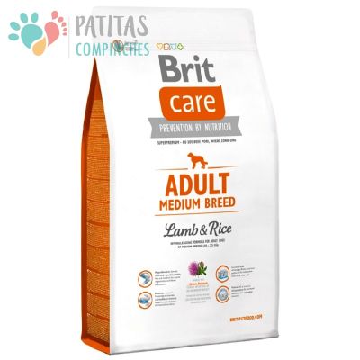 Brit | Perro | PatitasCompinches.cl