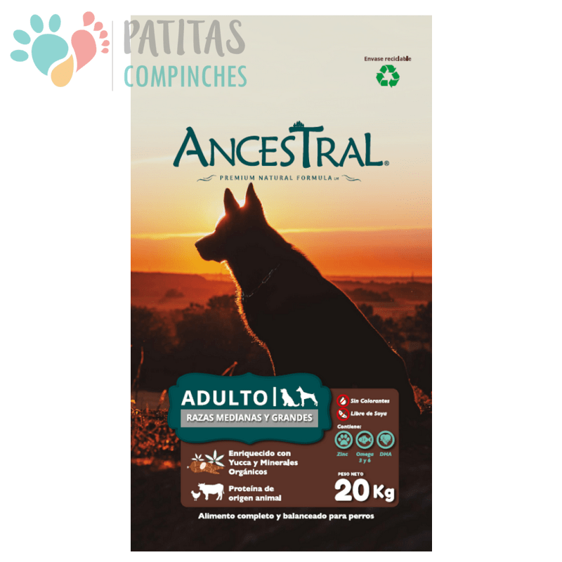 Ancestral Dog Adulto 20k. | PatitasCompinches.cl