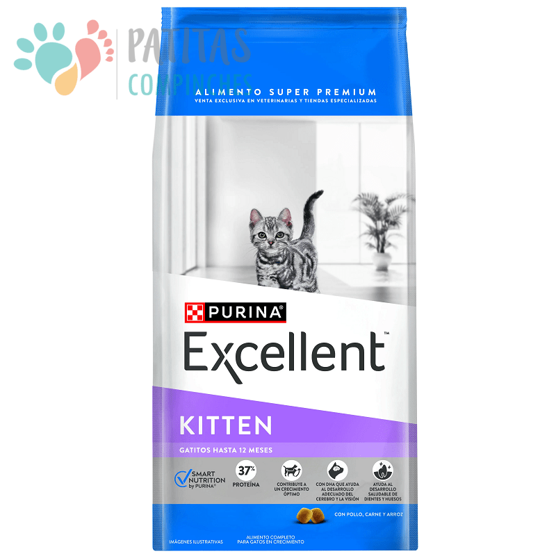 Excellent Cat Kitten | PatitasCompinches.cl