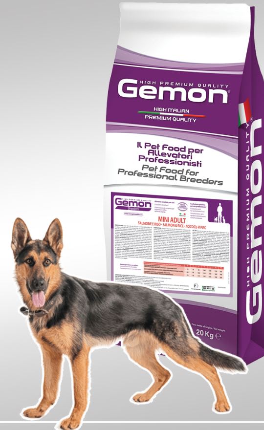 Gemon Dog Mini Adult With Salmón & Rice 20 Kg | Nubapets | Tienda de ...