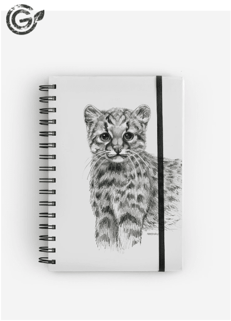 GARUGA | The Group Concept Store